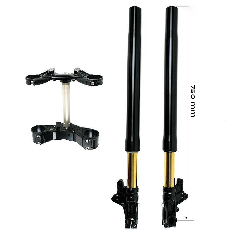 Ohlins USD fork kit LOW + Unit Garage triple clamp (low version)